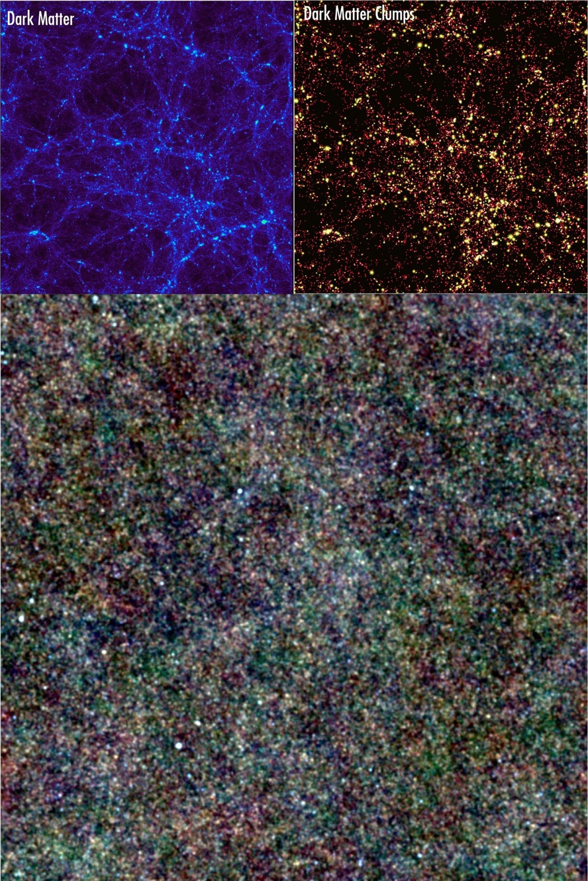 The Smallest Galaxies In The Universe Have The Most Dark Matter