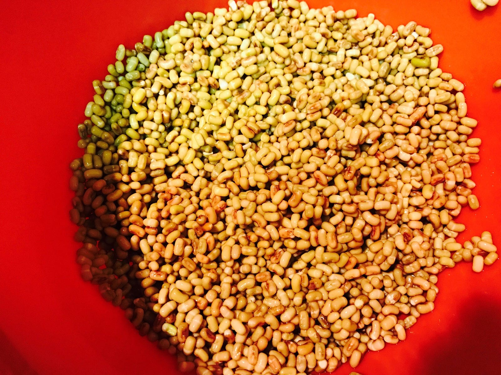 Matki vegetable – Vaibhavi Doshi – Medium