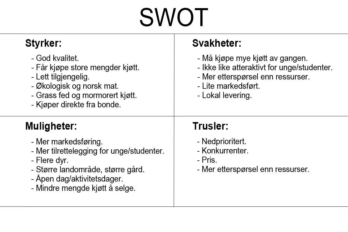 Analysefasen – Ivar Anders Ulset – Medium