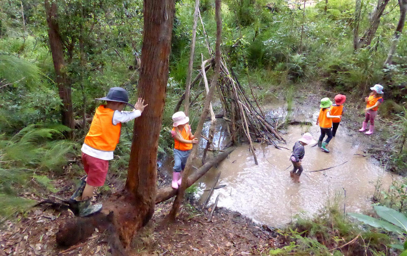 This school lets kids learn by roaming in the wild – ABC News Australia ...