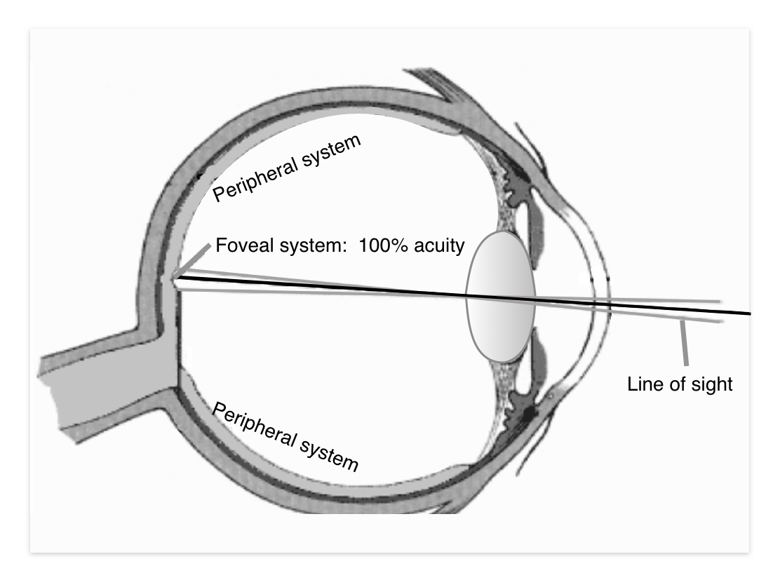 Design with the Human Visual Acuity in Mind – Sepide Ghate – Medium