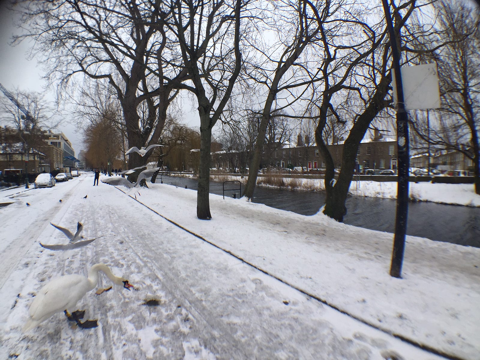 Neve na Irlanda? – Revista Passaporte – Medium