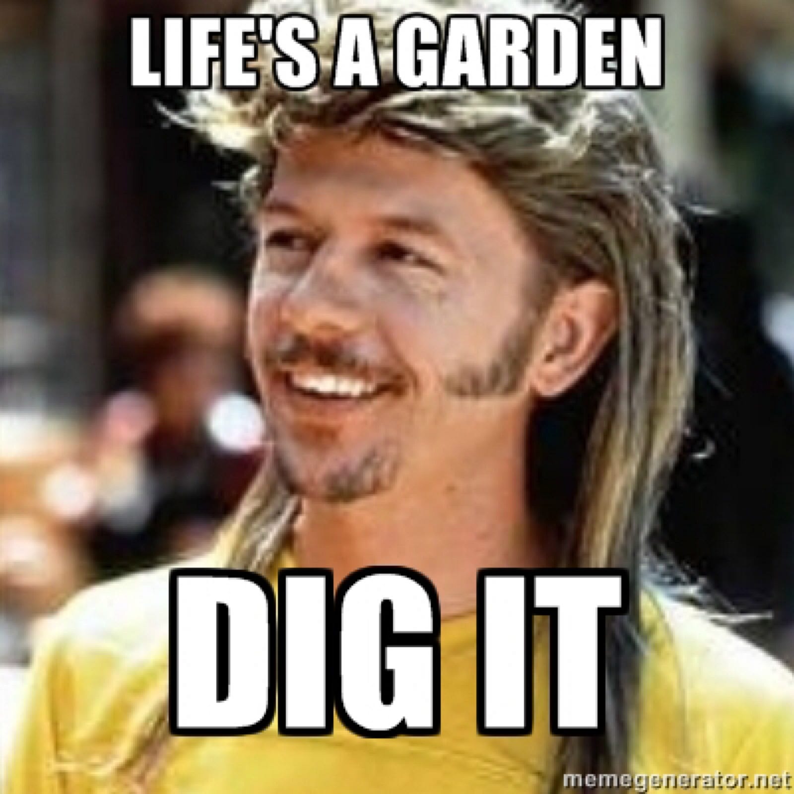 Memes Of Joe Dirt