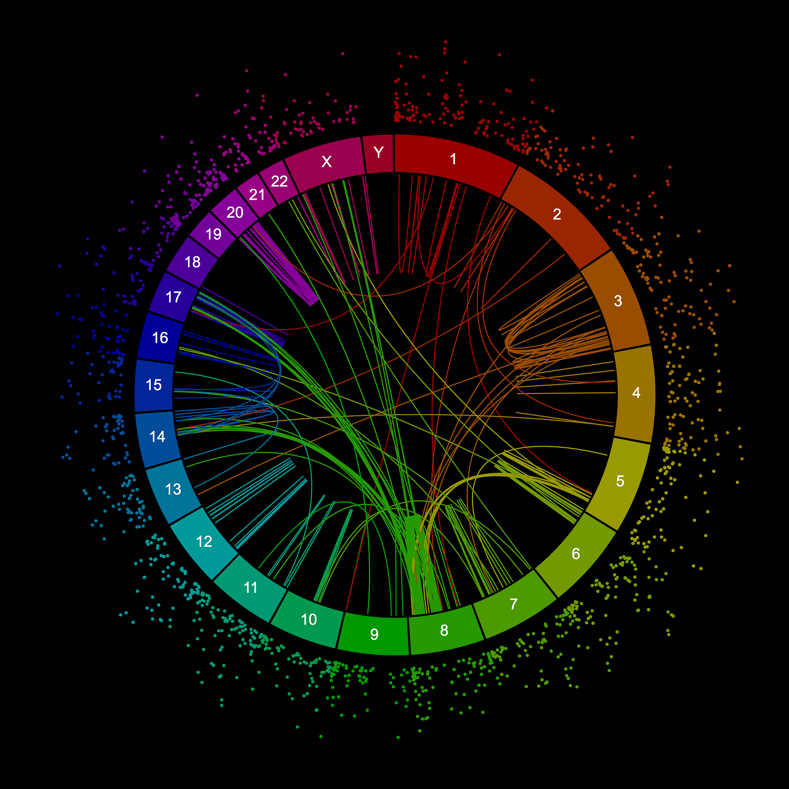 Making genomic data come alive with circos plots – Maria Nattestad – Medium