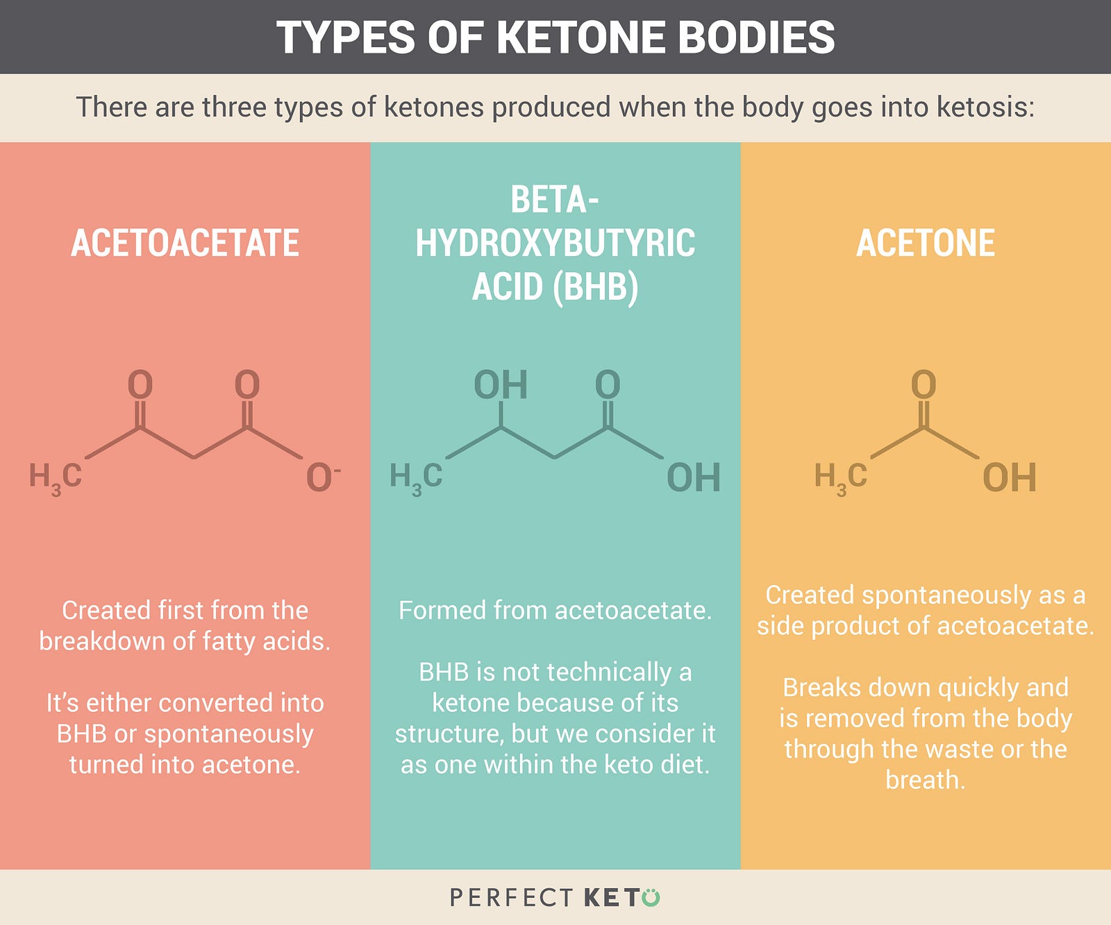 Novice Keto Intro🥑 – Food equals Health – Medium