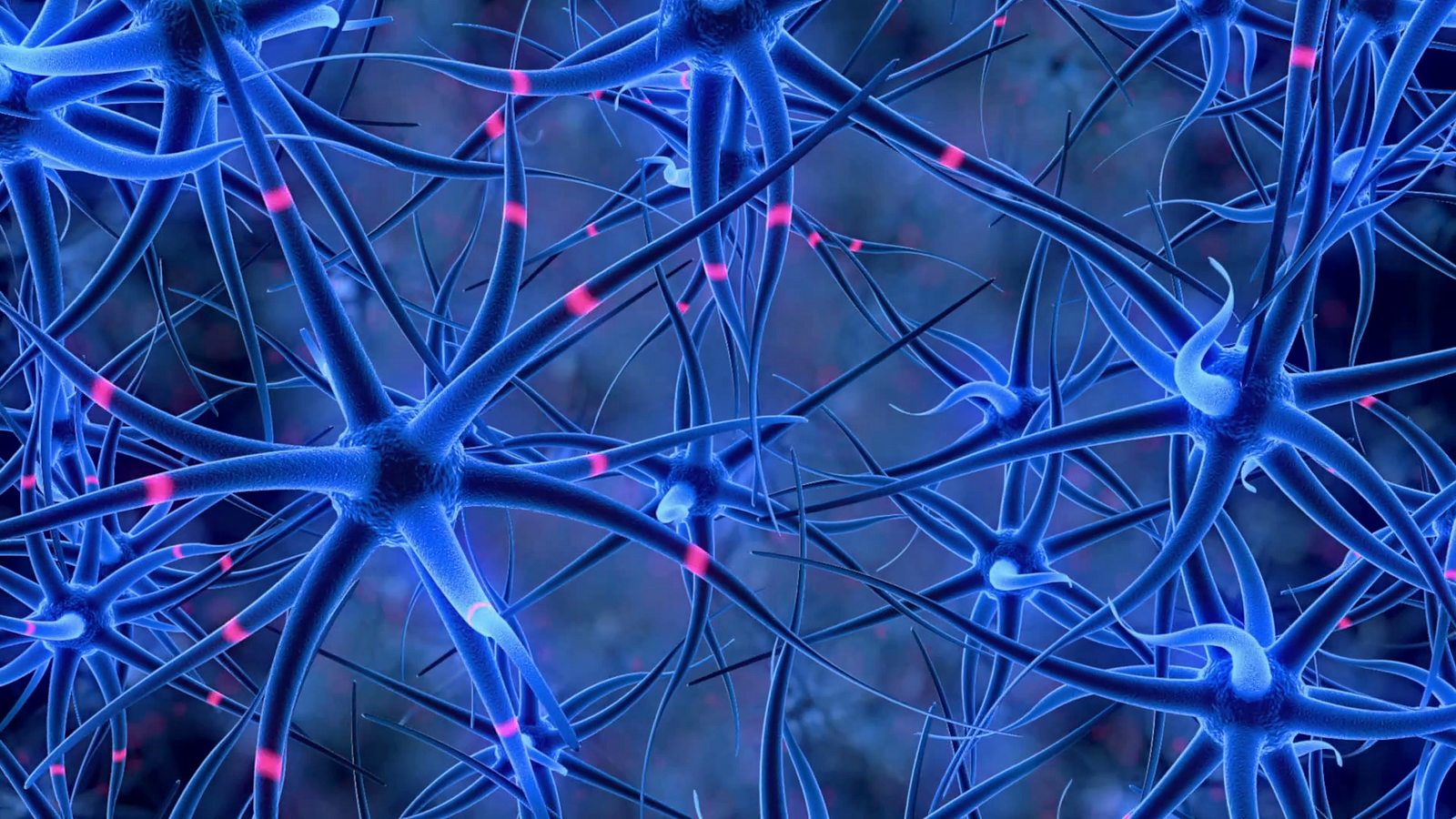 Uber Price Prediction using a Neural Network – Tyler Haun – Medium