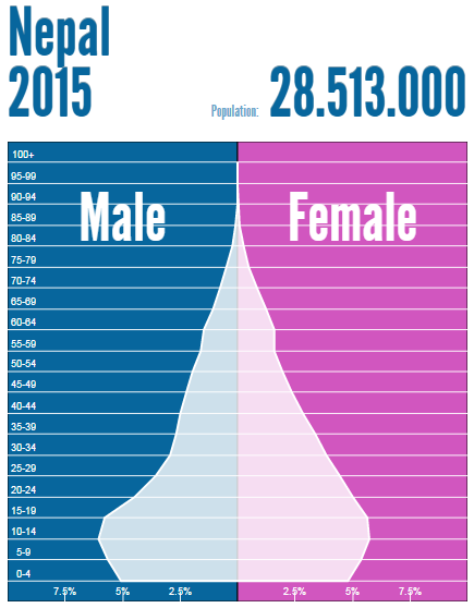 Fun with Population Pyramids – Five Guys Facts – Medium