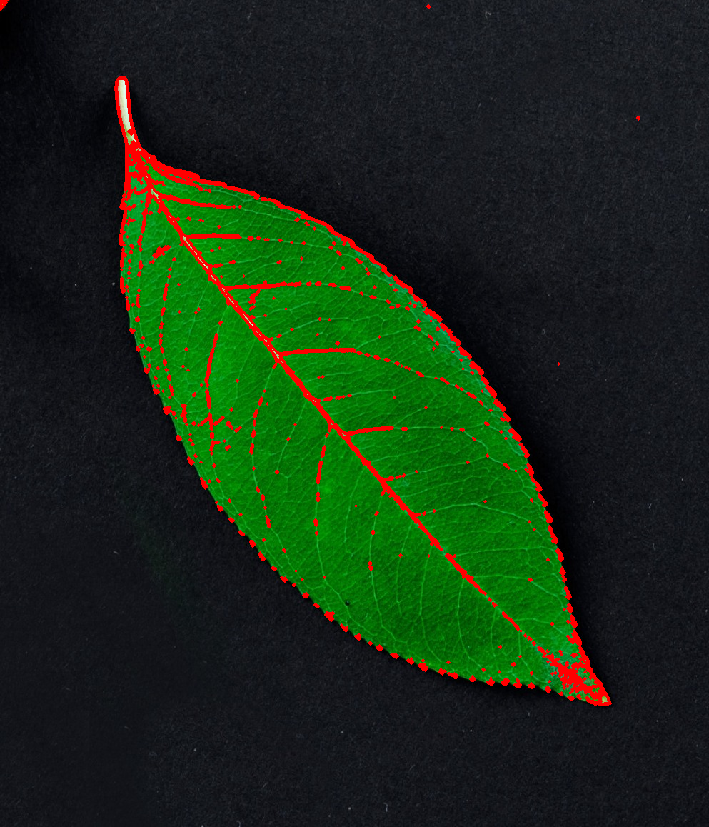 Object Detection Via Color Based Image Segmentation Using