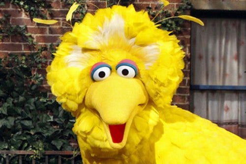 Big Bird & Snuffy: – Christopher Thompson – Medium