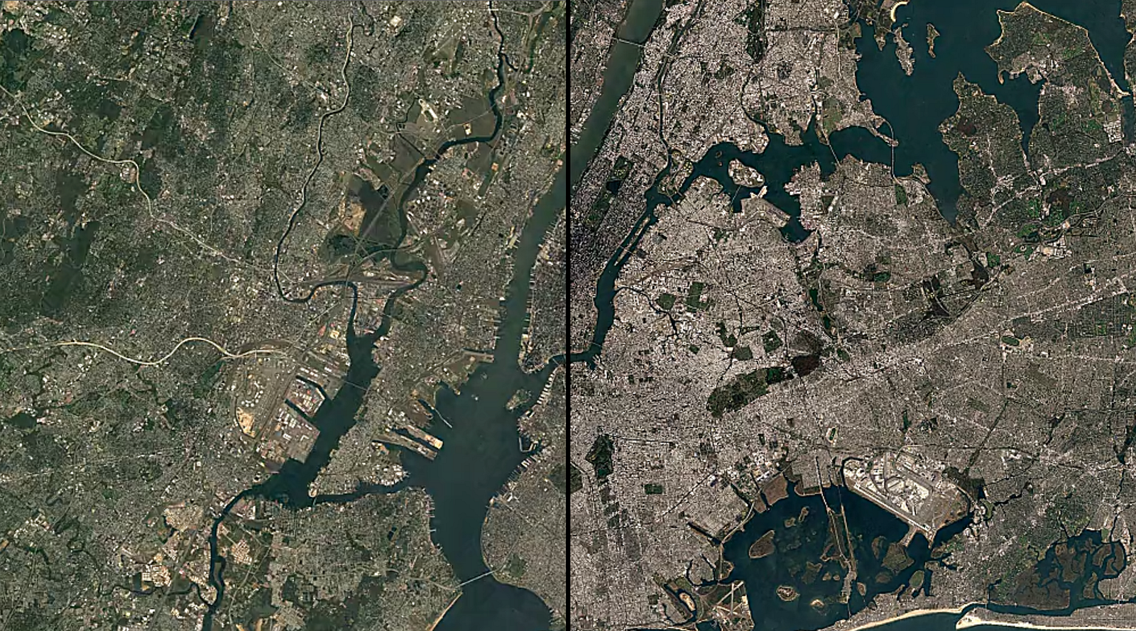 The Deforestation of American Cities – Niko Lazaris – Medium
