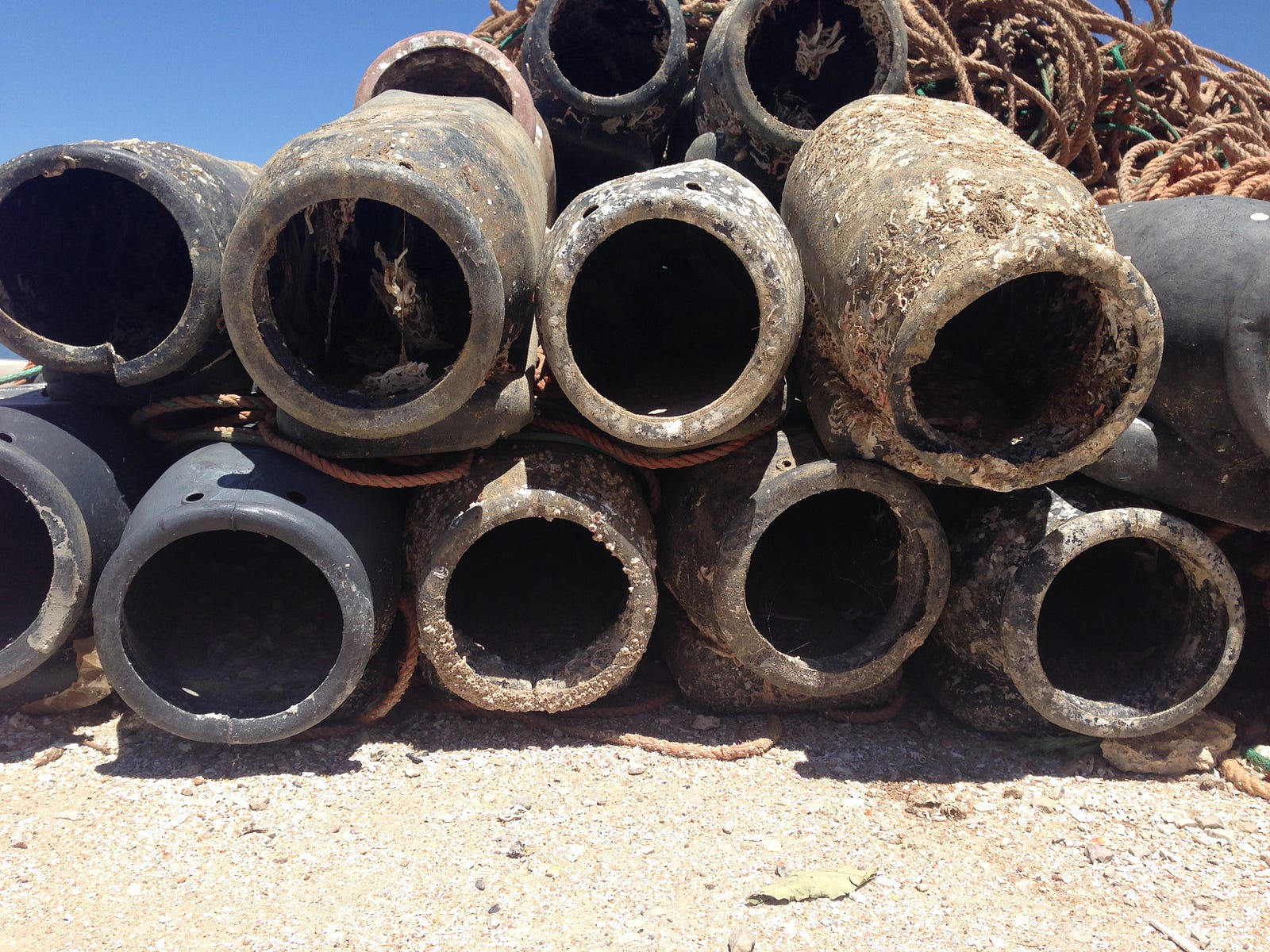 Octopus Pots, Razor Blades and Watering Holes – The Thursday Thought ...