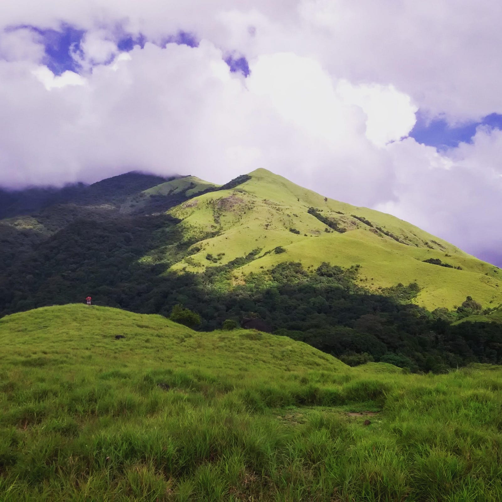 Trek to Kumara Parvatha – Treks Unlimited – Medium