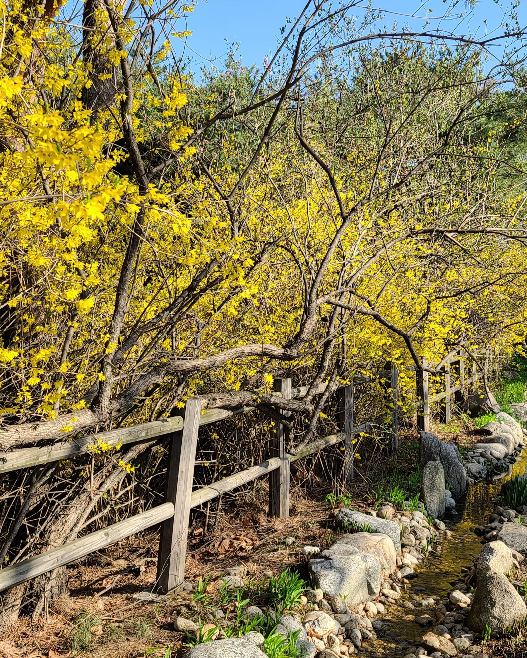 One thing is for certain — Mother Nature is relentlessly consistent and ...