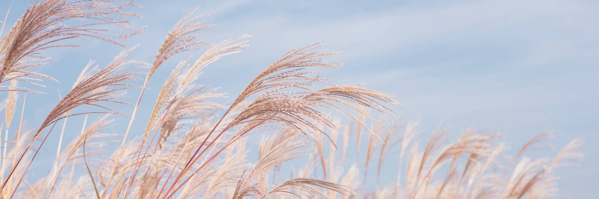 If your small business’s operations are very straightforward, you might ...