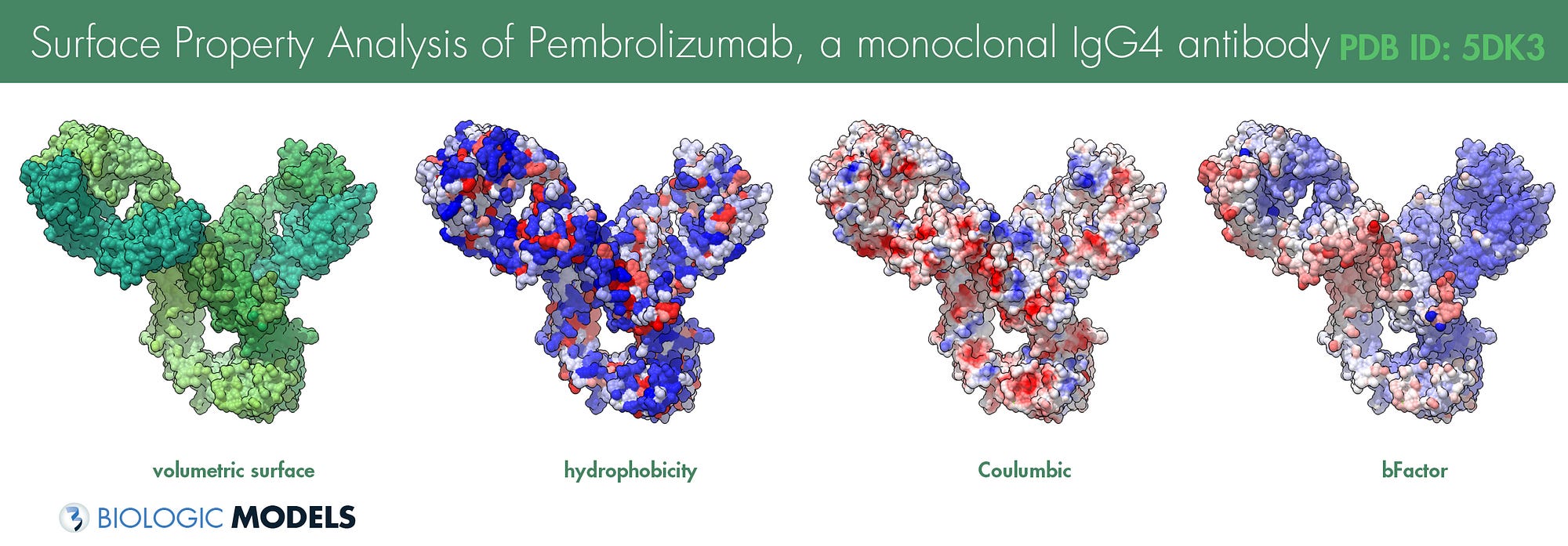Comparative Analysis Pembrolizumab and PD-1 Receptor Binding Properties