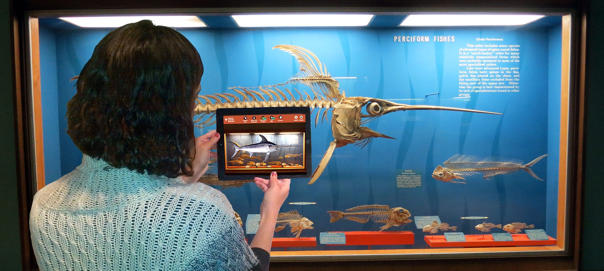 How Augmented Reality is Revolutionizing Museums, Schools and Jobs