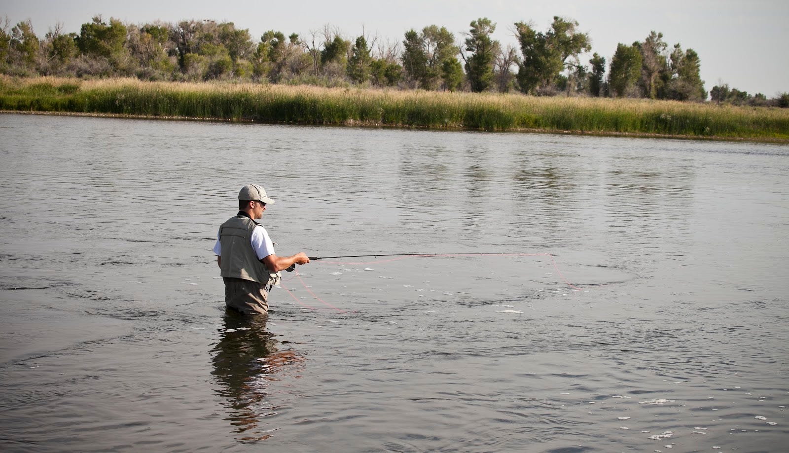 Ideas for How You Can Enjoy Wetlands – Updates from the U.S. Fish and ...