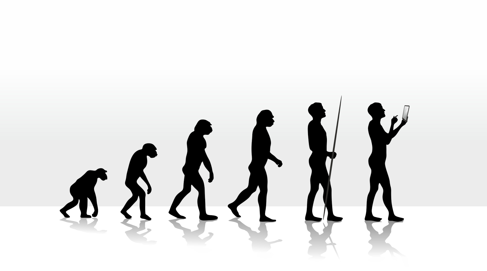 The evolution of consumer behavior in the digital age
