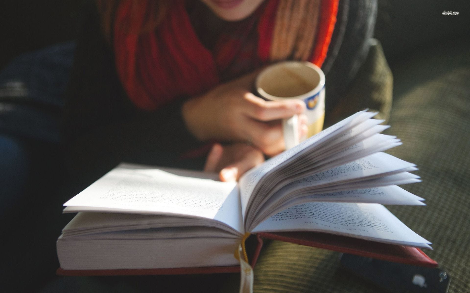 The Benefits Of Reading Everyday Why I m Reading 100 Books This Year