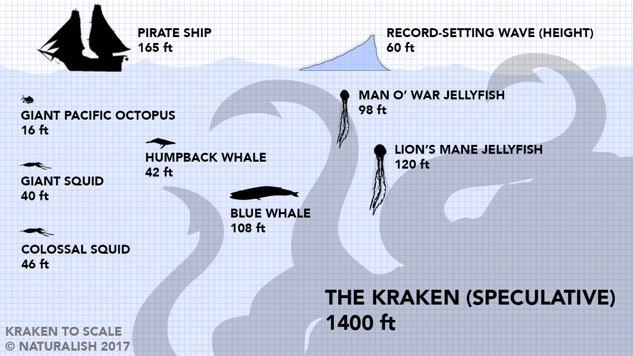 The Kraken: An (Un)Natural History – Naturalish – Medium