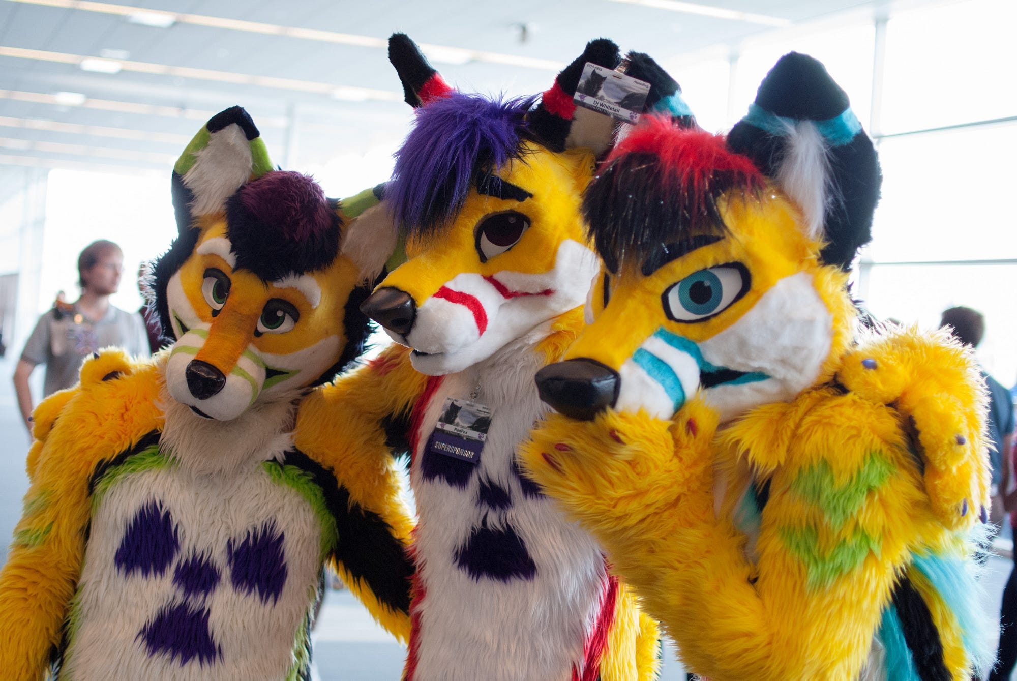 Anthrocon 2015 – Auburn – Medium
