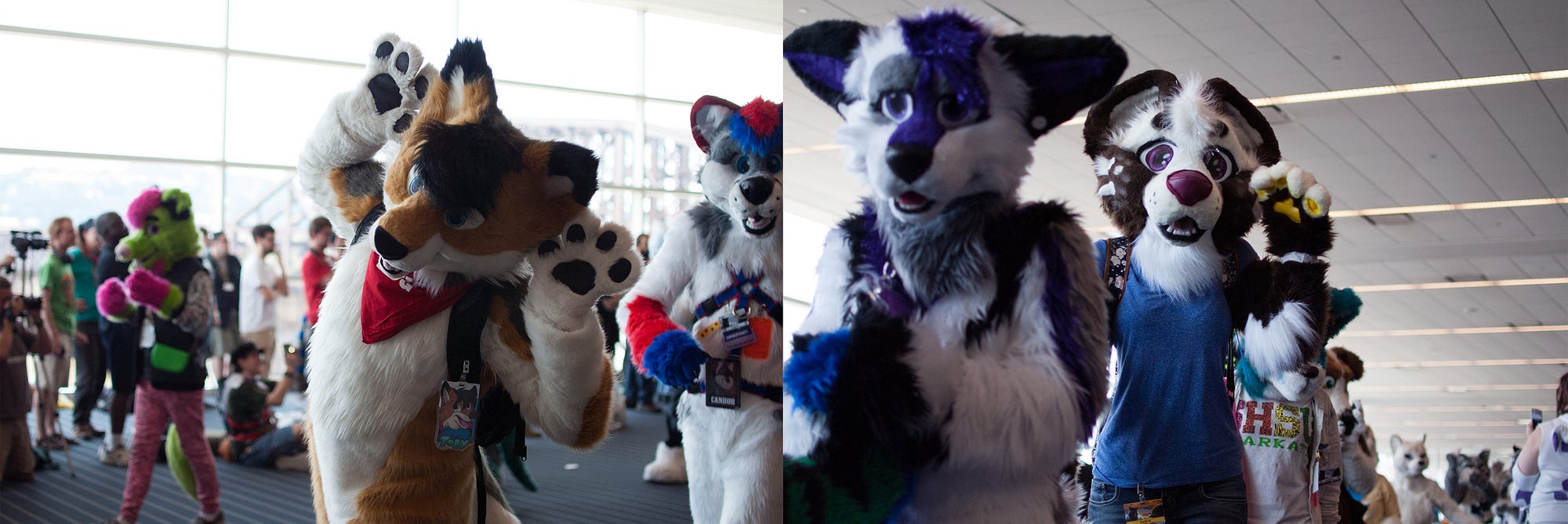 Anthrocon 2015 – Auburn – Medium