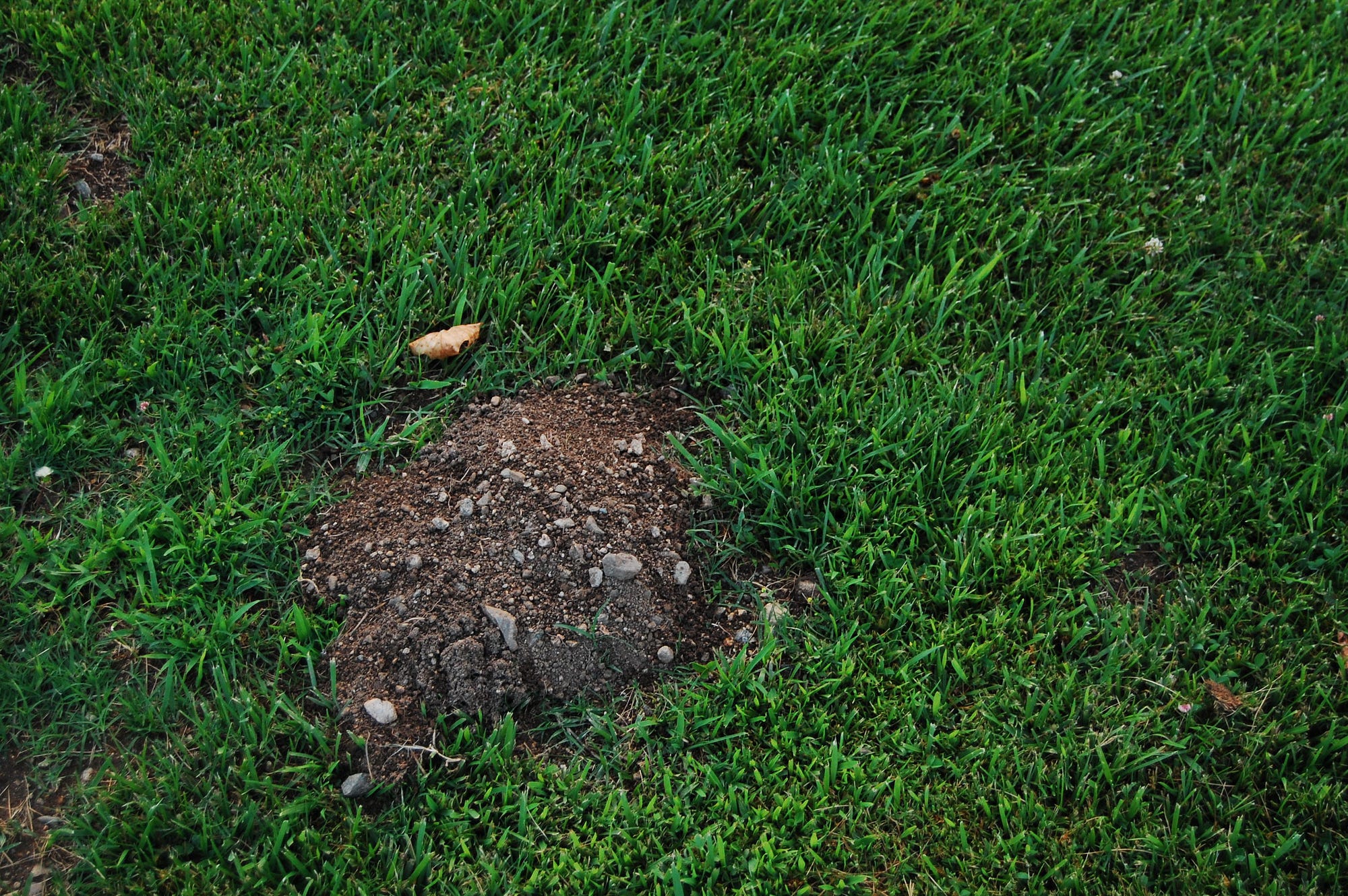 How to Sell Dirt – The Billfold – Medium