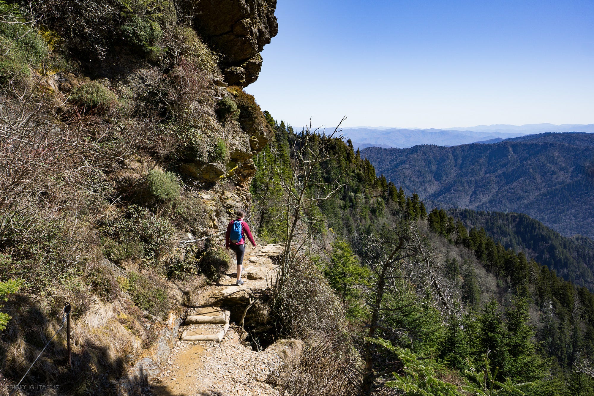 Mt. LeConte via the Alum Cave Trail – David Howland – Medium