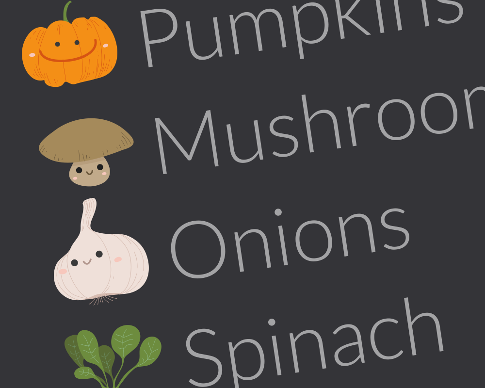 How To Add Custom Icons To List Items Using CSS And Base64