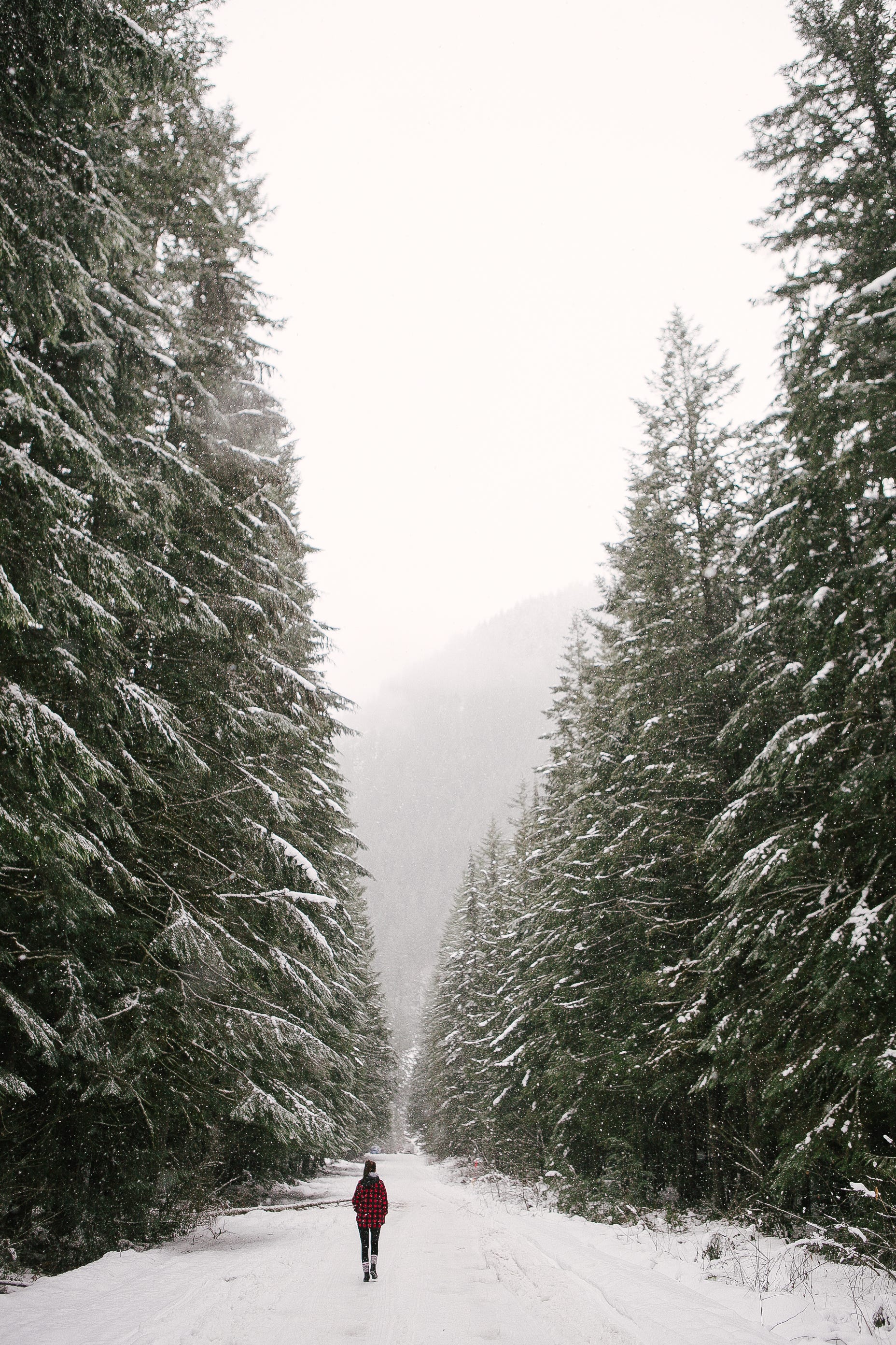 A Stroll In The Snow – Vicente L Ruiz – Medium