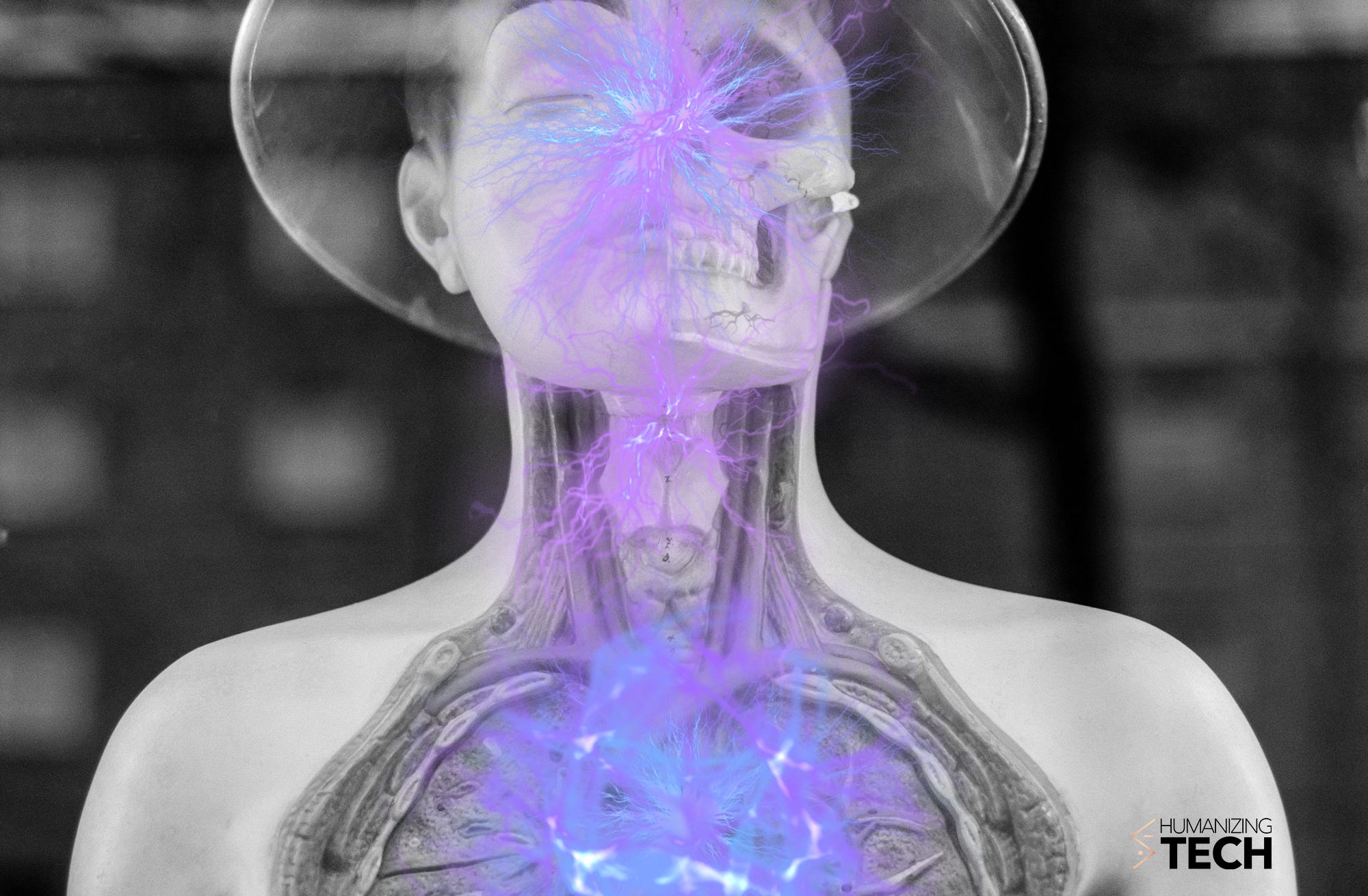 What is an Artificial Connectome? – Humanizing Tech