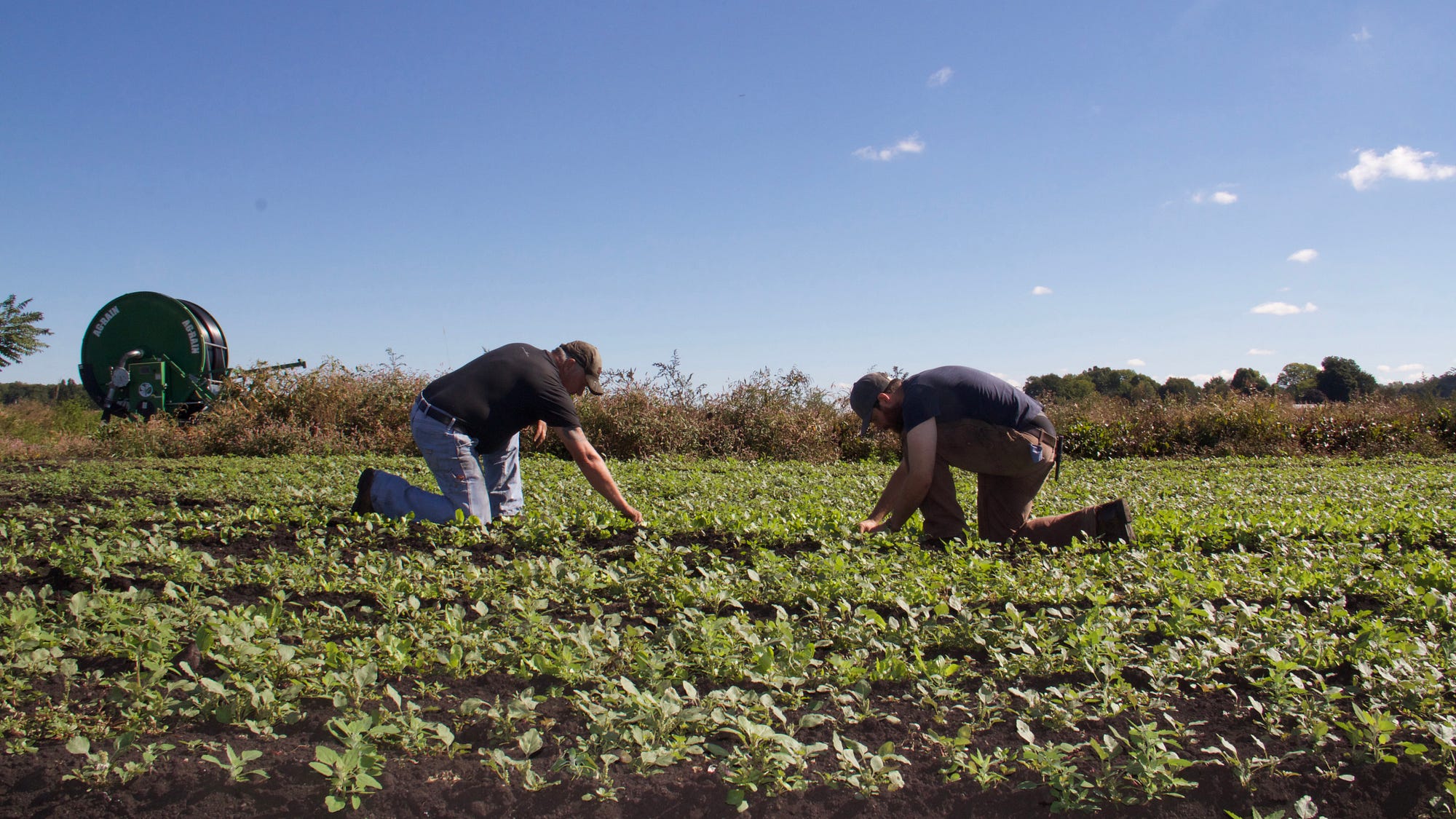 Starting a Farm Is Actually a Lot Like Starting Any Business