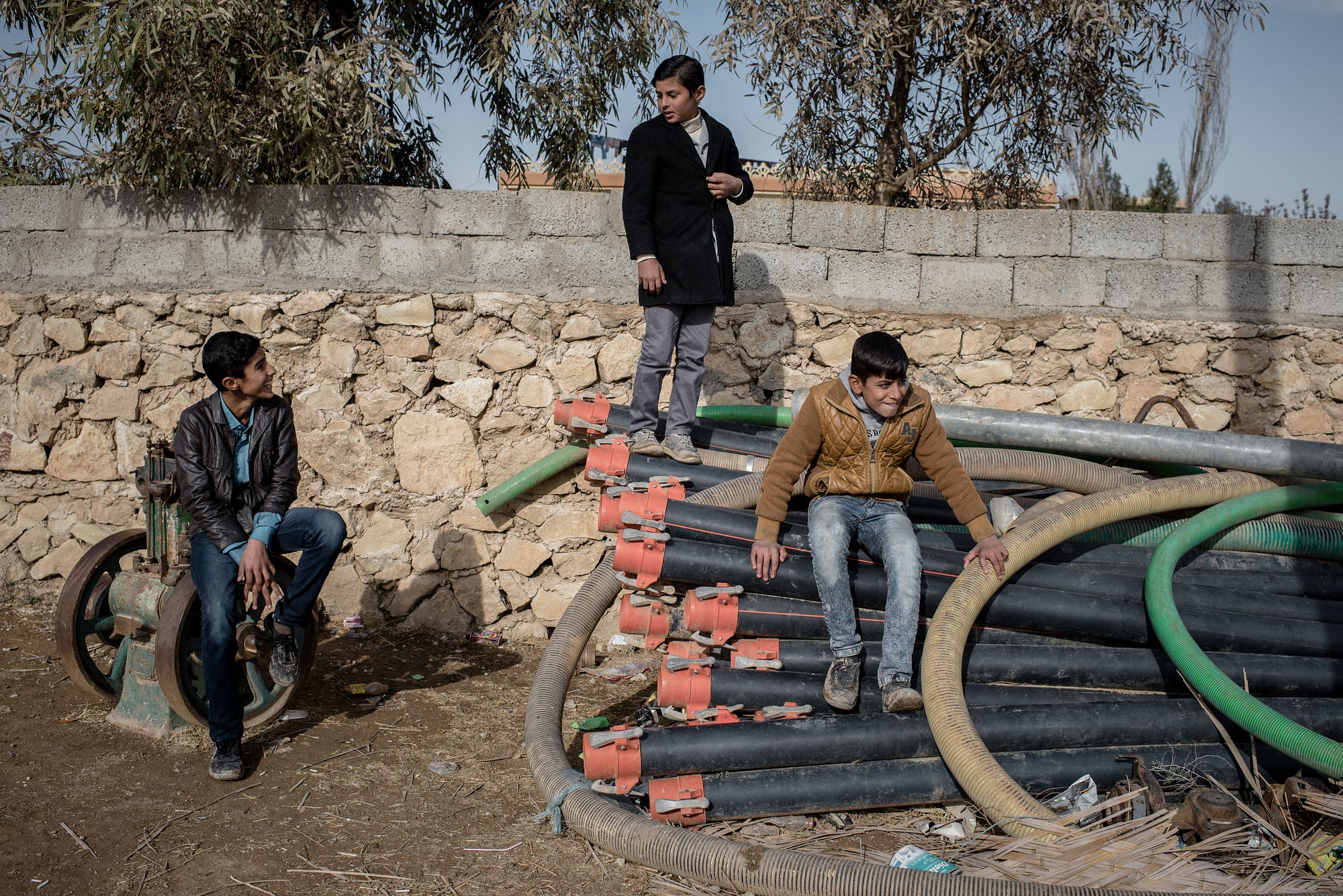 IRAQ: KICK-STARTING AGRICULTURE AND LIVELIHOODS IN RETAKEN AREAS
