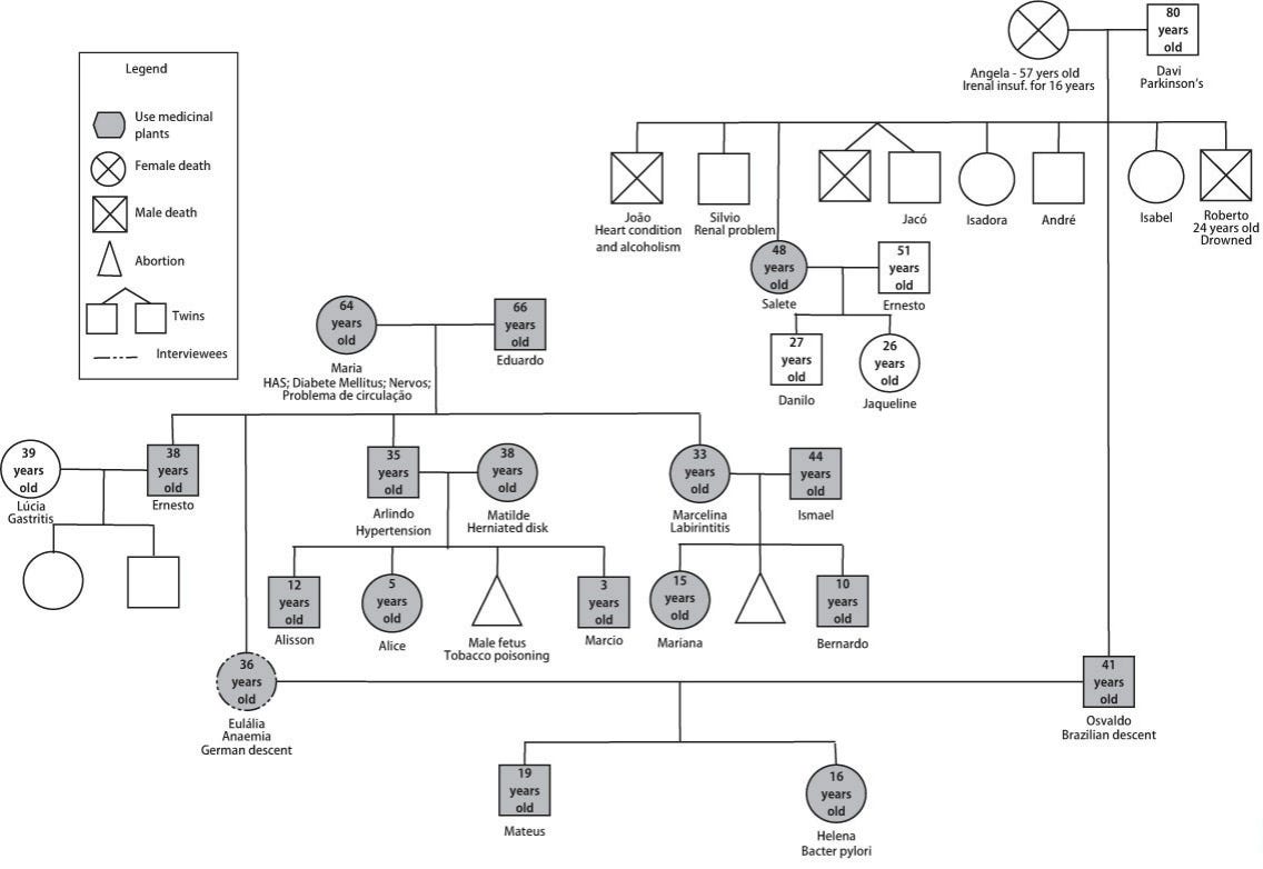 genogram-the-hope-of-preserving-family-history-prasoona-rao-medium