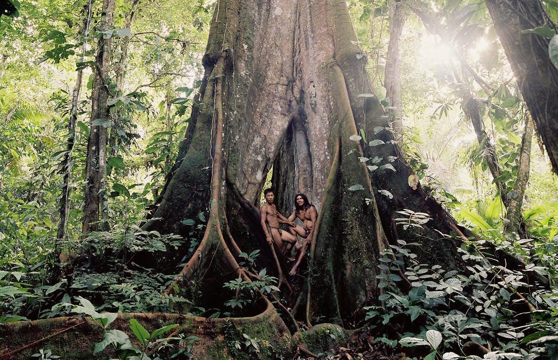 Lessons from the jungle: a week with an Amazonian tribe