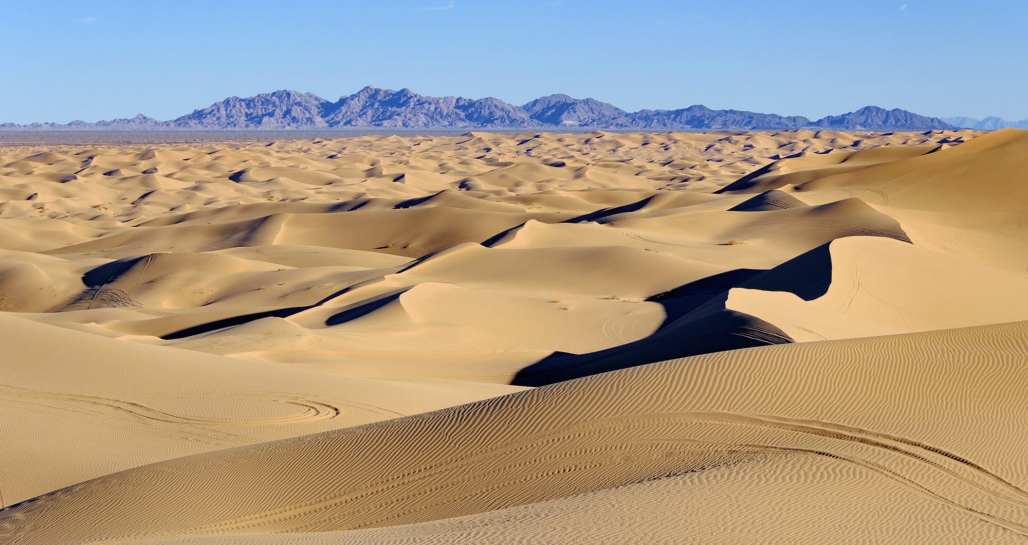A slice of the Sahara in Southern California – The California Sun