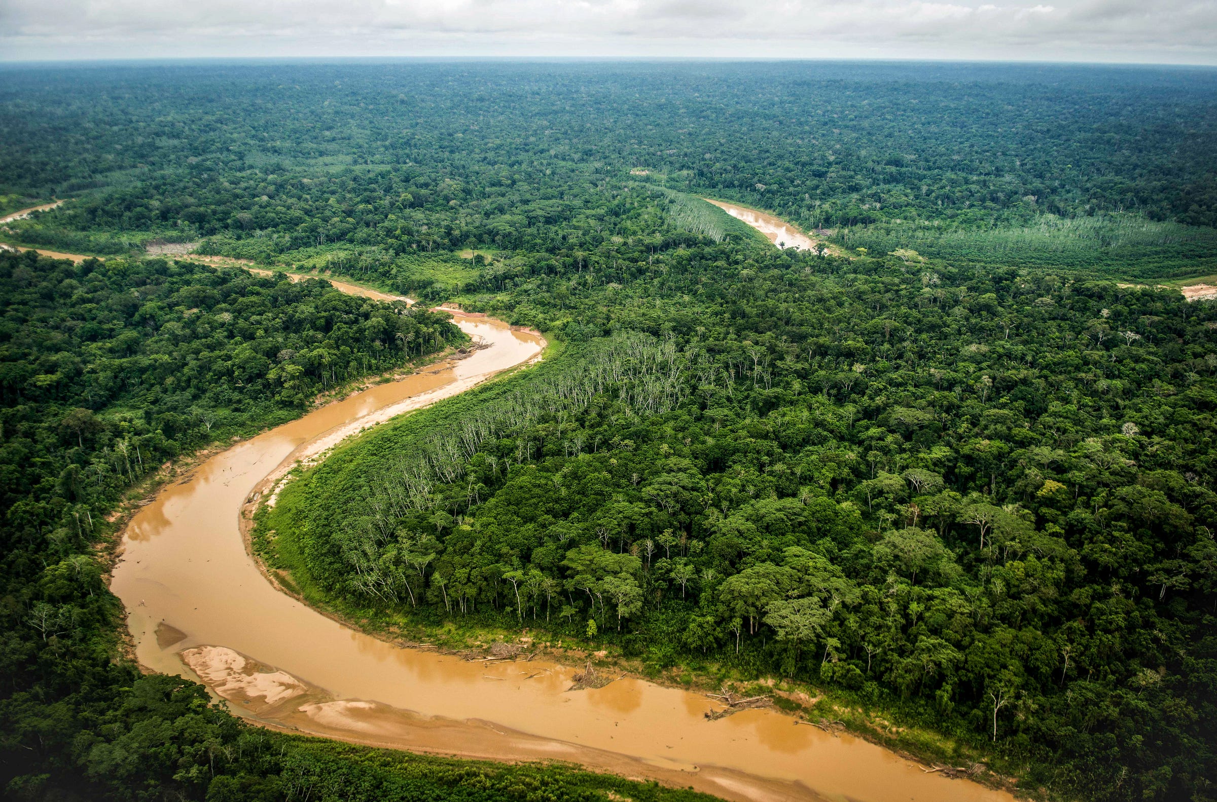 Indigenous rights: the pathway to a livable planet – UN Development ...