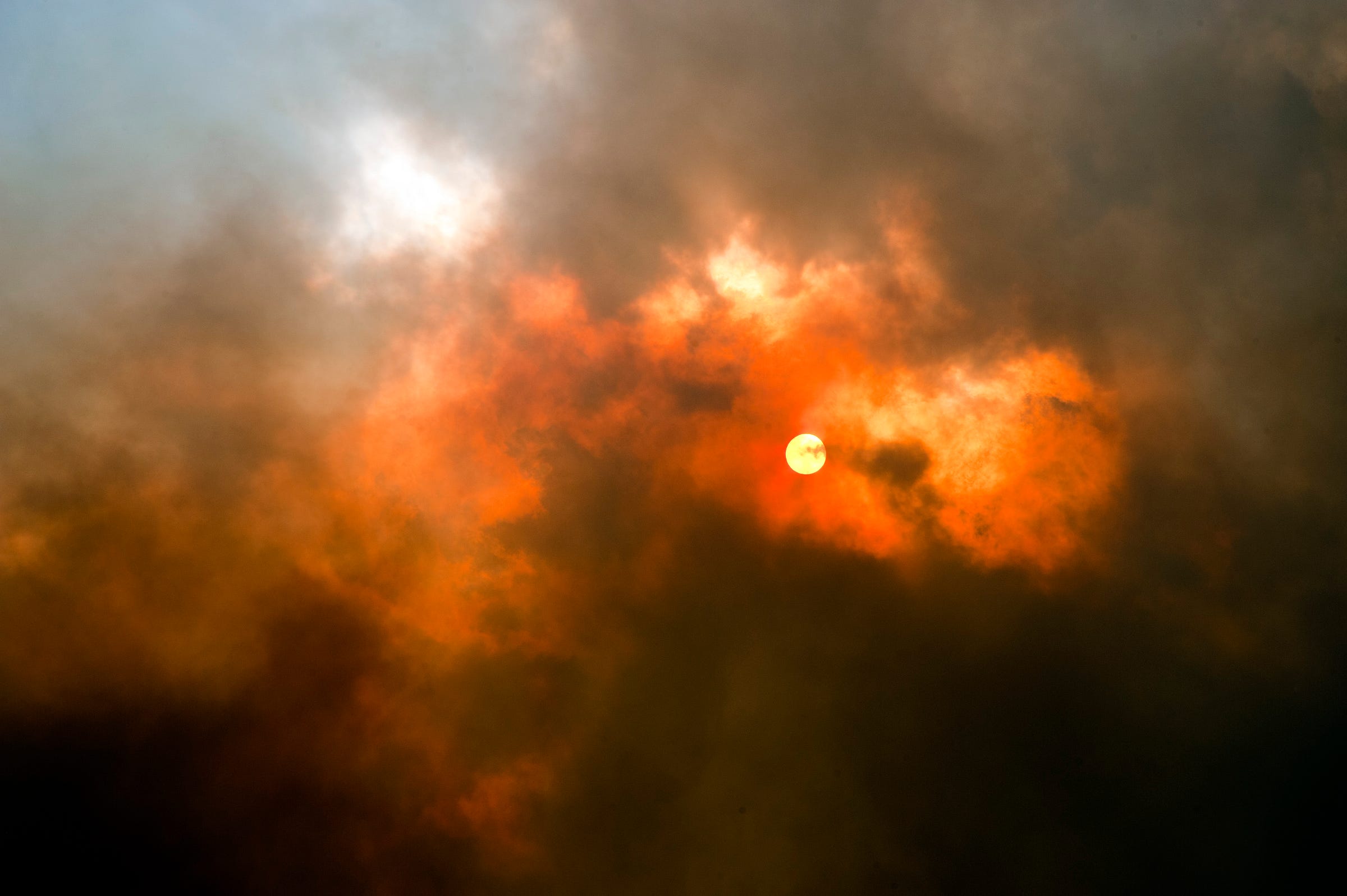 Surviving Smoke and Ash – Tom Lowenthal – Medium