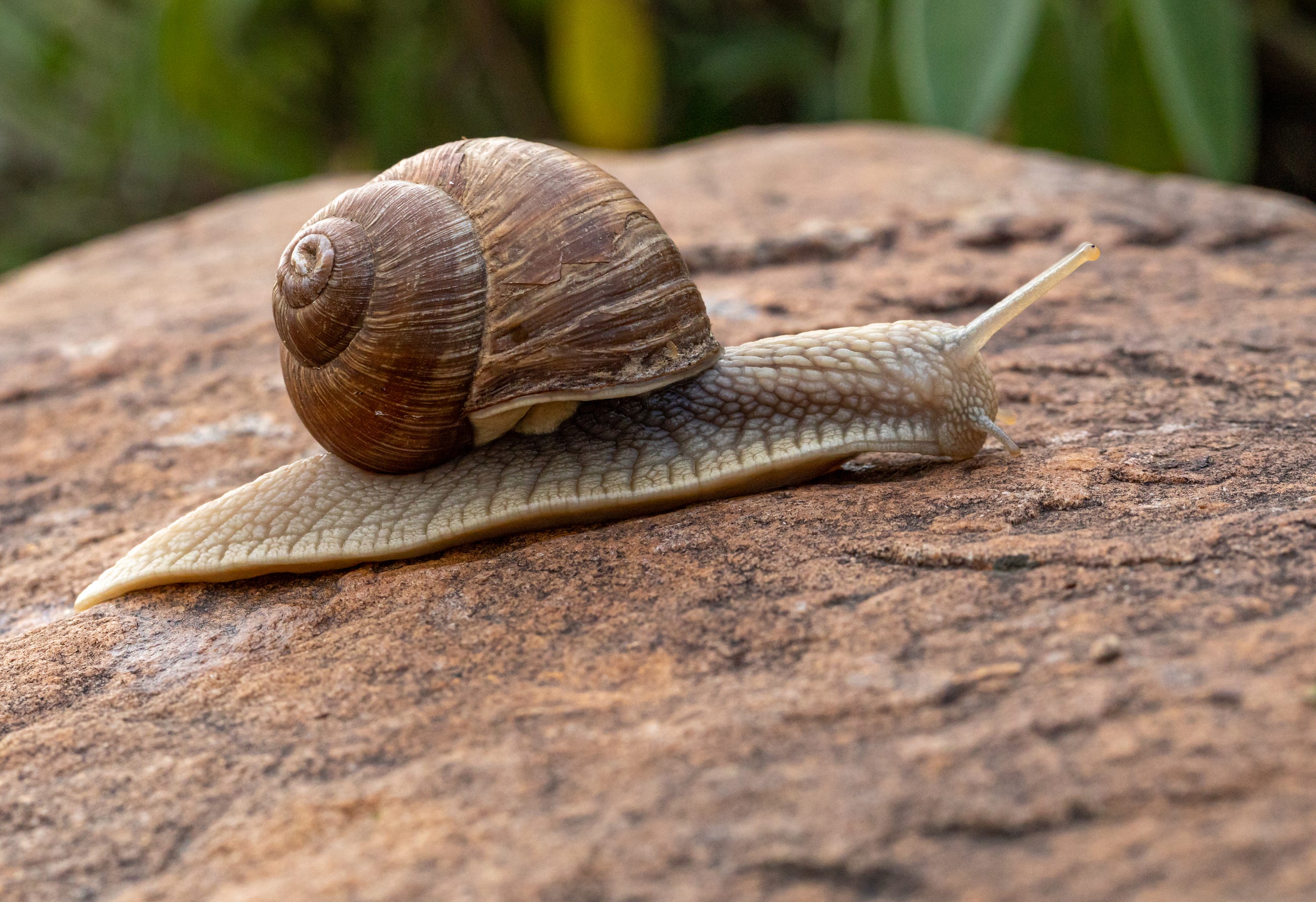 track-the-execution-of-python-iterations-with-a-smart-progress-bar