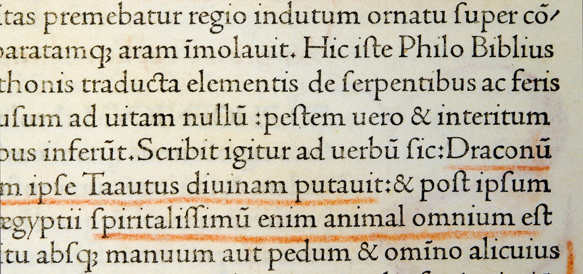 Nicolas Jenson and the success of his roman type – CAST