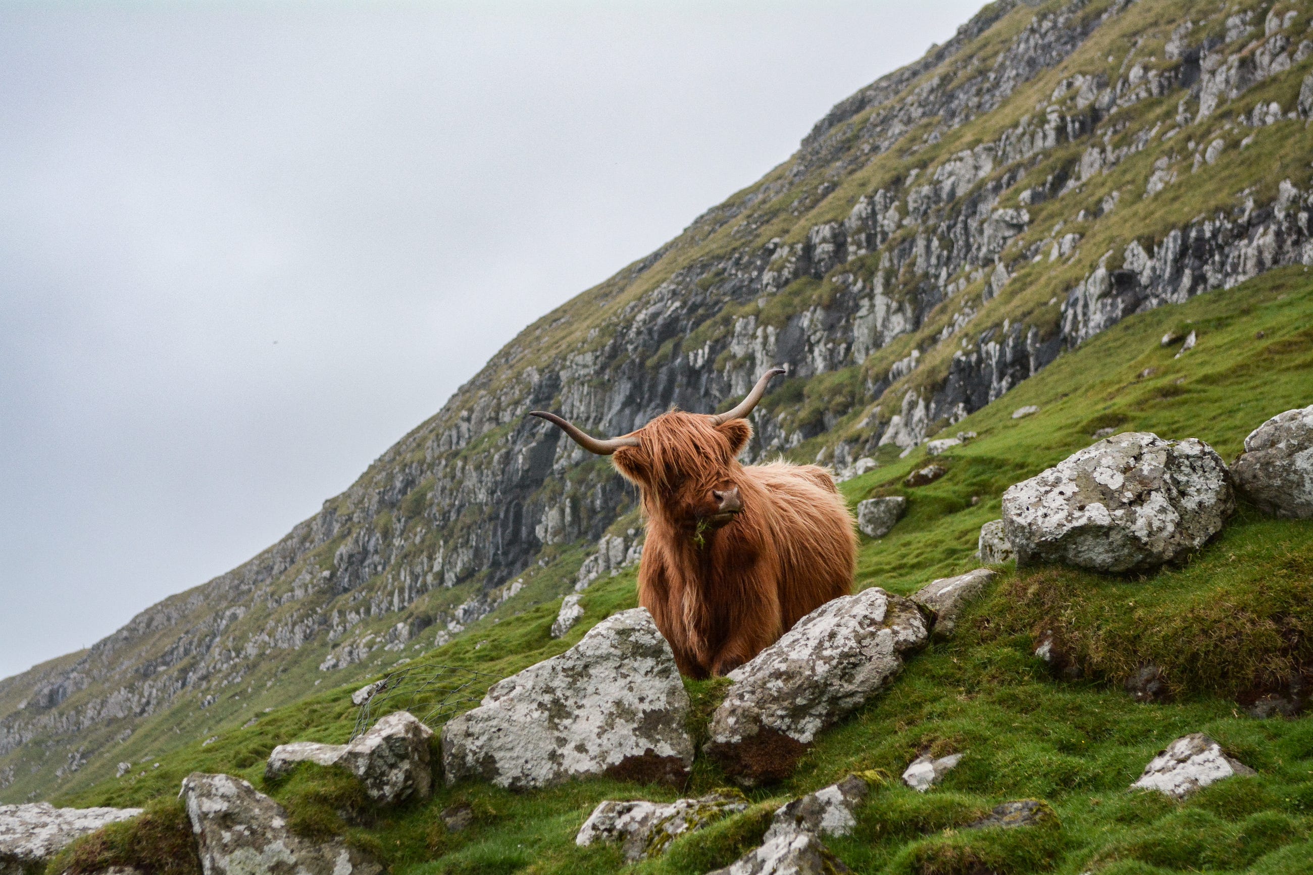 Sheep View: How the Faroe Islands Created The Most Viral Tourism ...