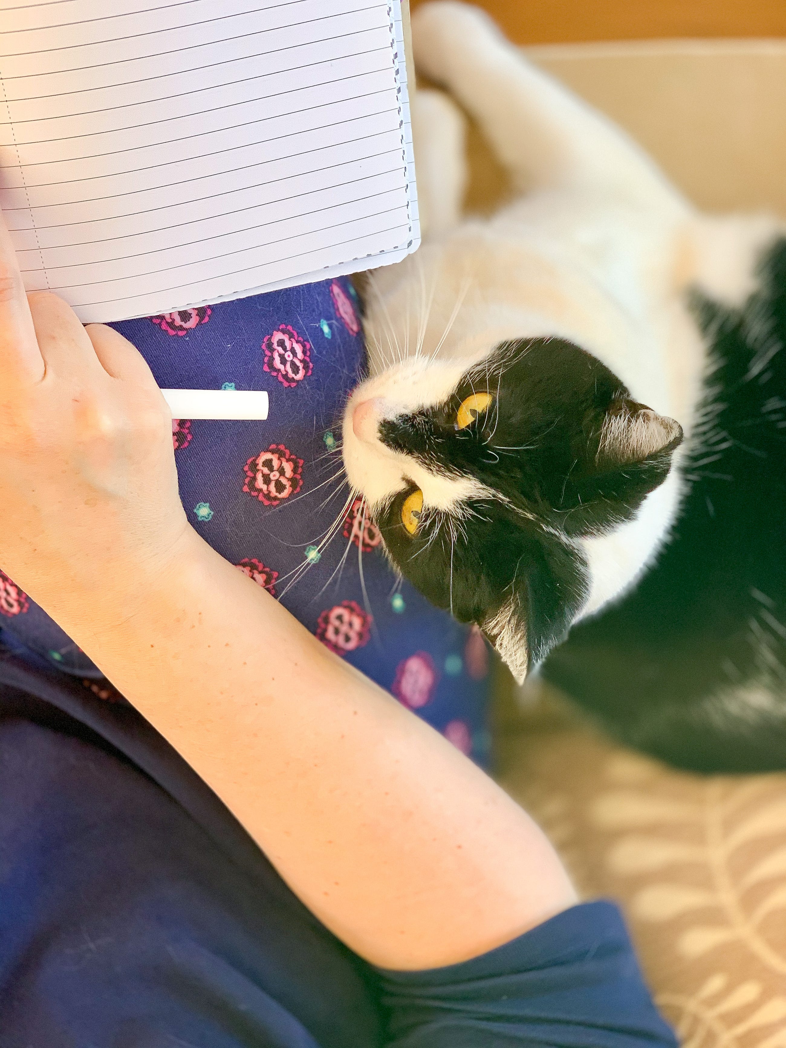 Stories by Anna Maria Boland on Medium