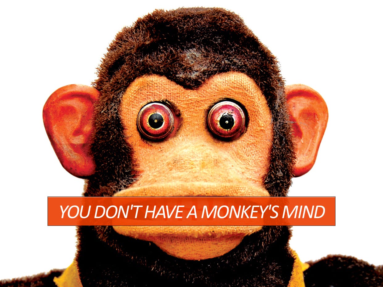 YOU DON’T HAVE A MONKEY’S MIND. – notthatjamesbrown – Medium