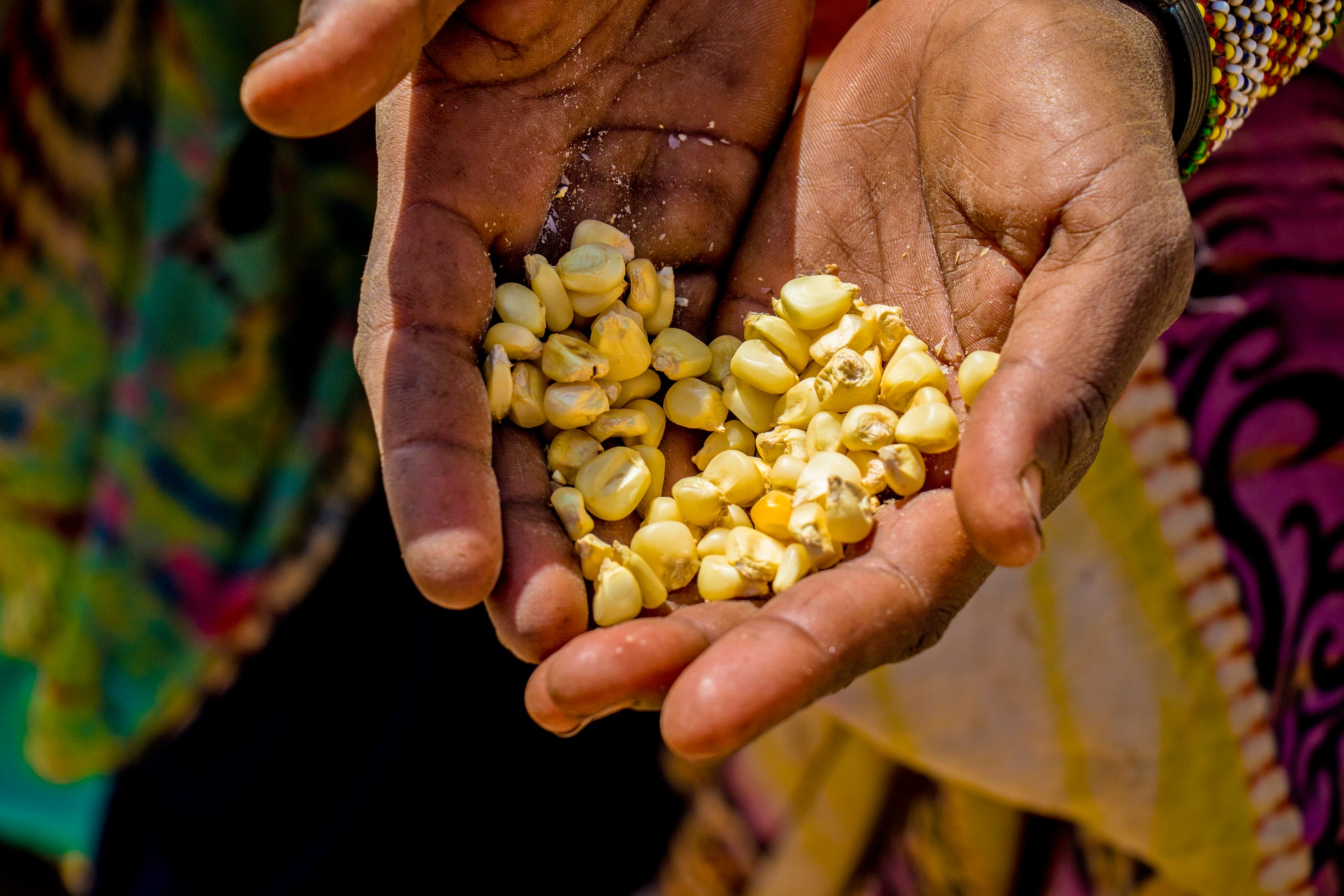 Tackling child undernutrition through social protection programmes