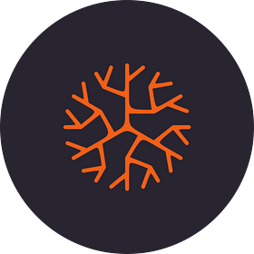 brainroot - Medium