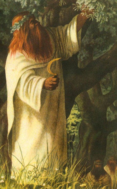 What to Know about Mistletoe Facts and Mythology – Mariecor Agravante ...