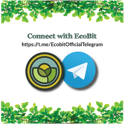 EcoBit.io – Medium