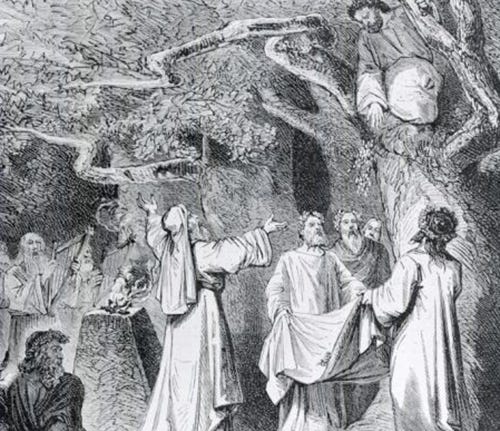 What to Know about Mistletoe Facts and Mythology – Mariecor Agravante ...