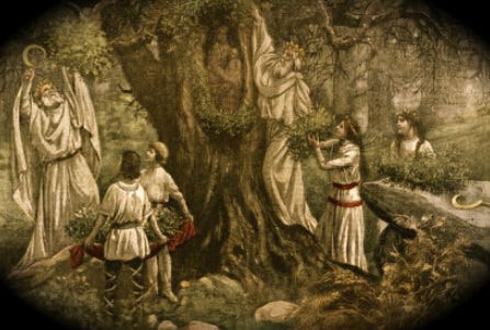 What to Know about Mistletoe Facts and Mythology – Mariecor Agravante ...