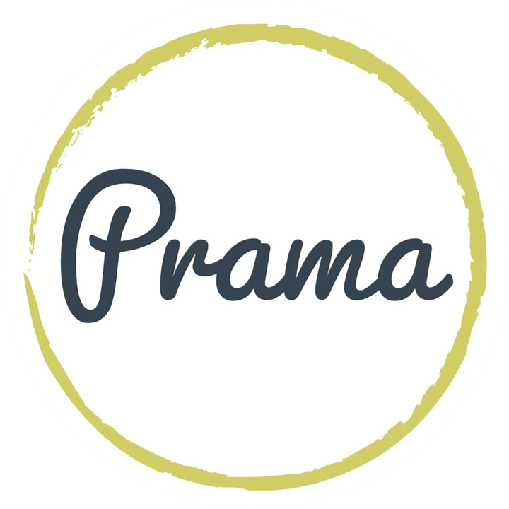 Prama Blogs